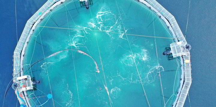 Cermaq Canada begins trials for semi-closed containment salmon farming ...
