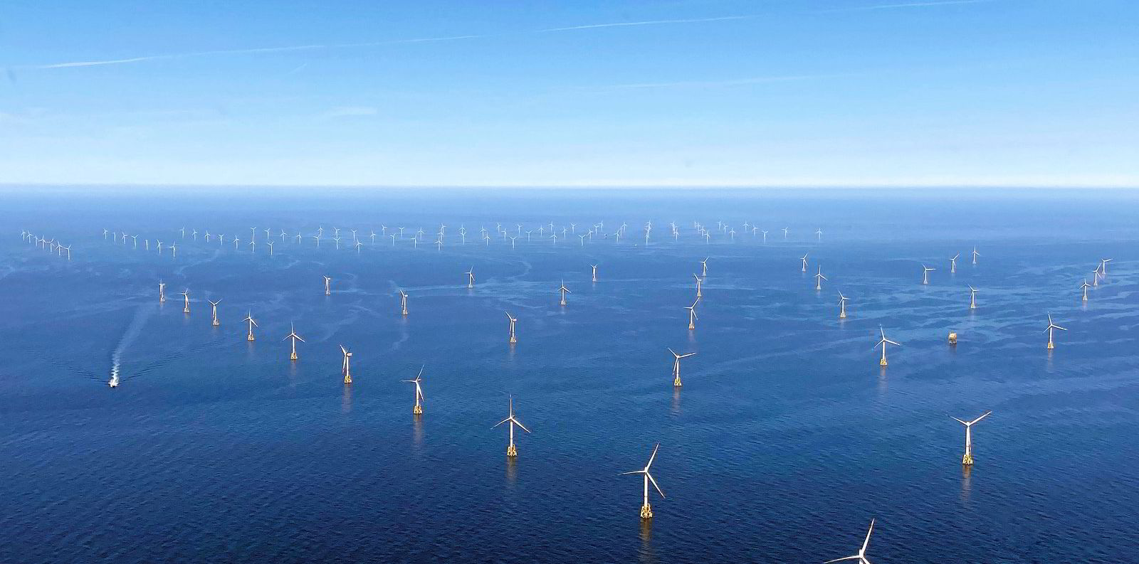 Peer power giants could spoil offshore wind tender party for EDF and ...