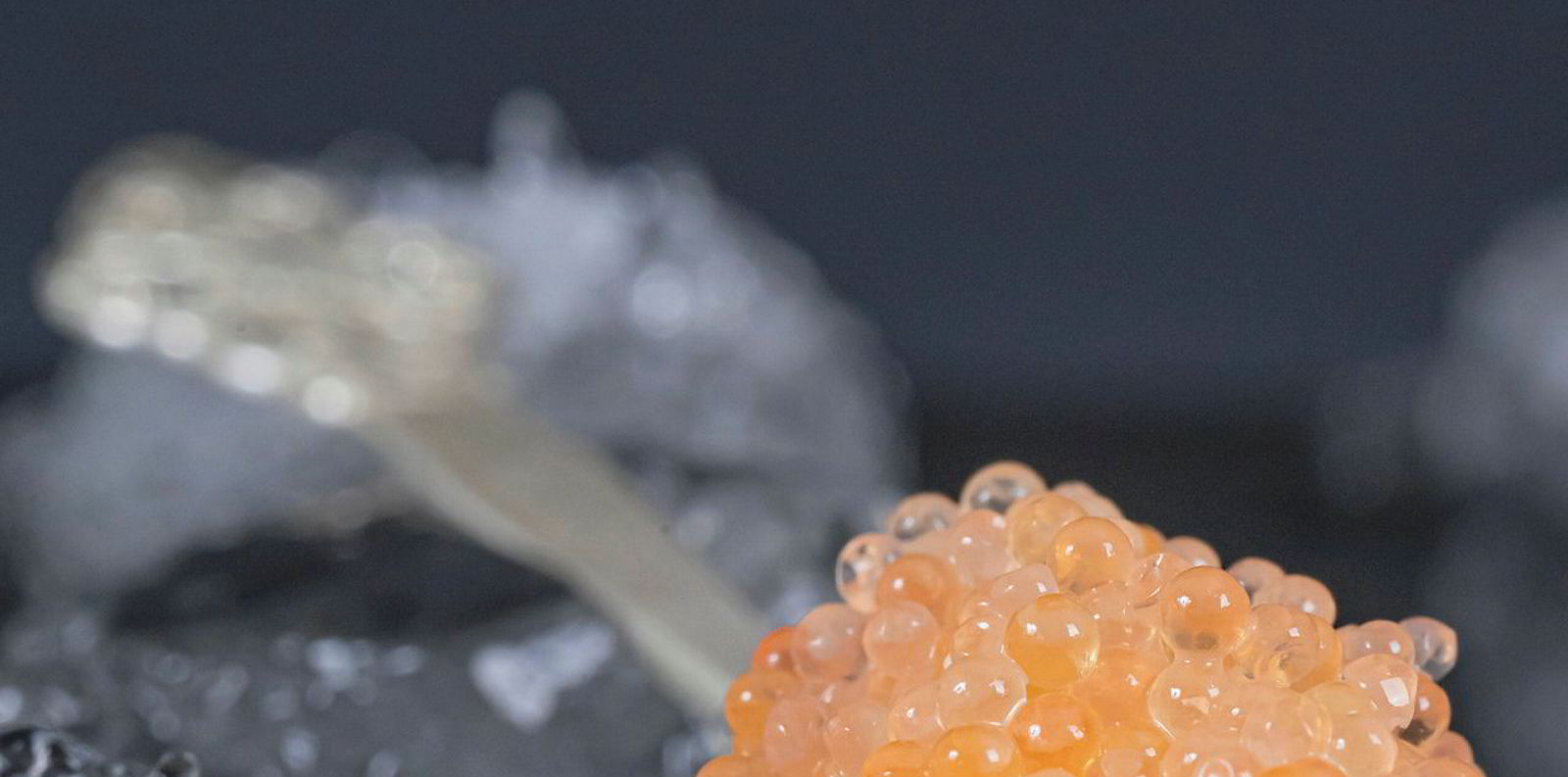 Norwegian company targeting US with $500/kg luxury caviar | IntraFish.com