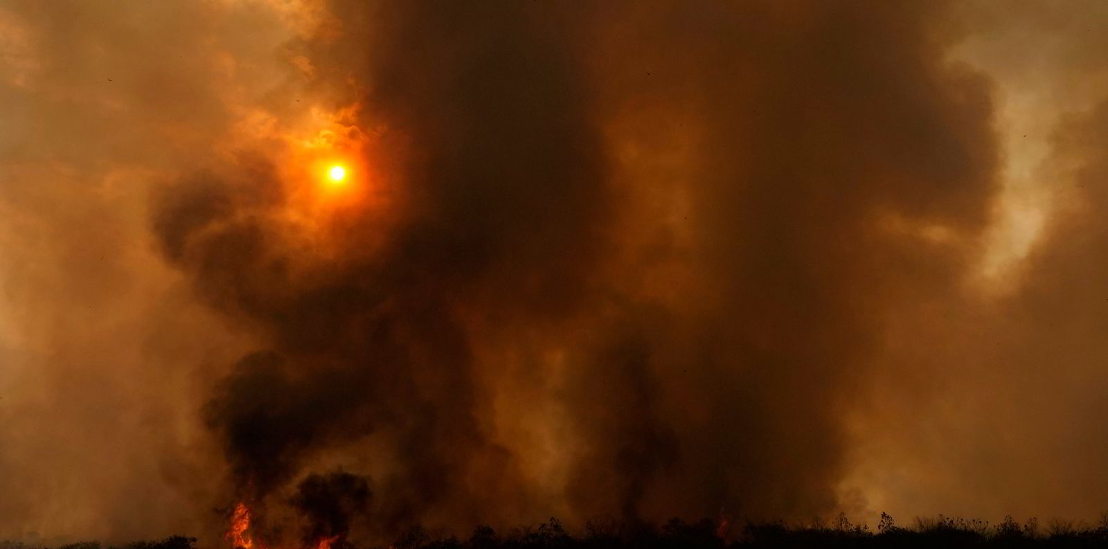 TotalEnergies developing carbon sinks and savanna fire management ...