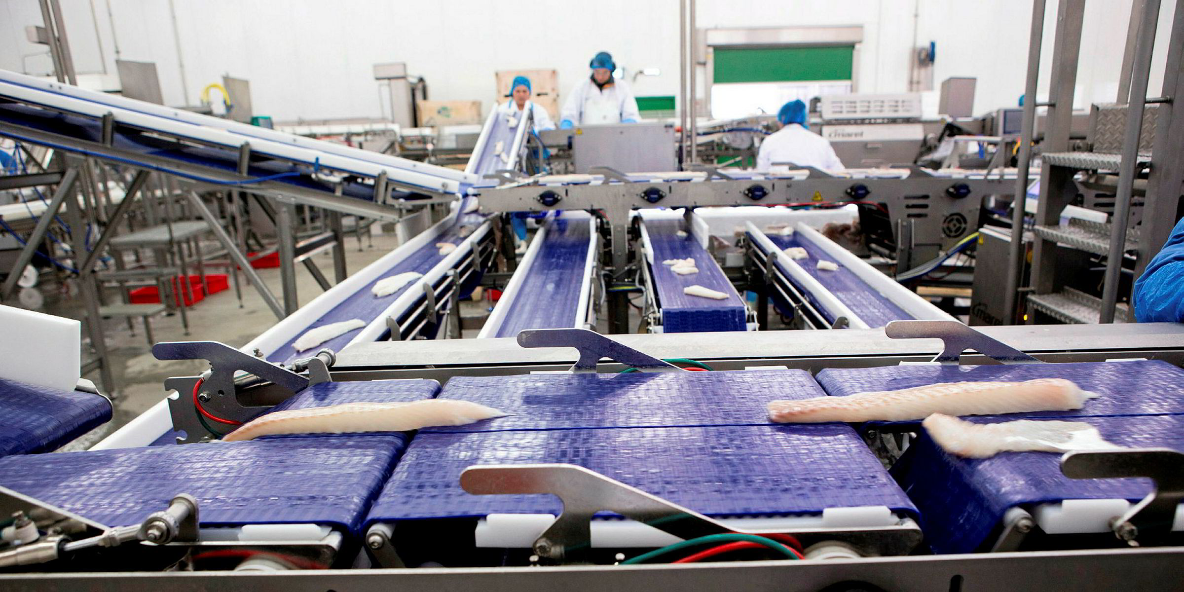 Marel reports lower Q2 profit, expands with acquisition in Brazil ...