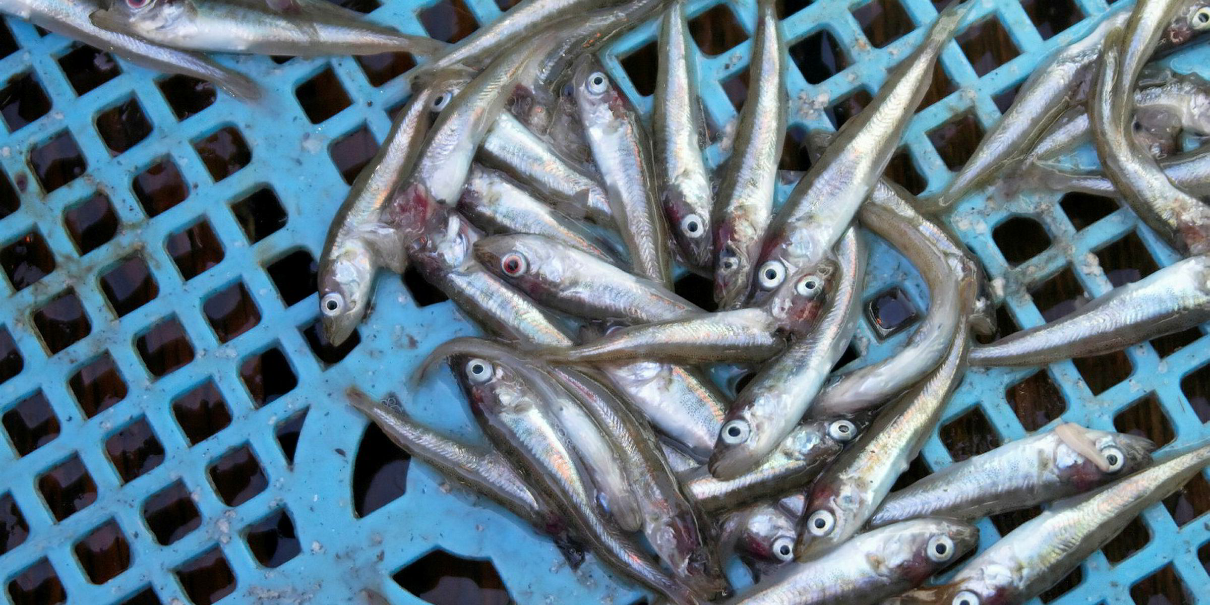 Icicle Seafoods processing vessel finds new permanent home | IntraFish.com