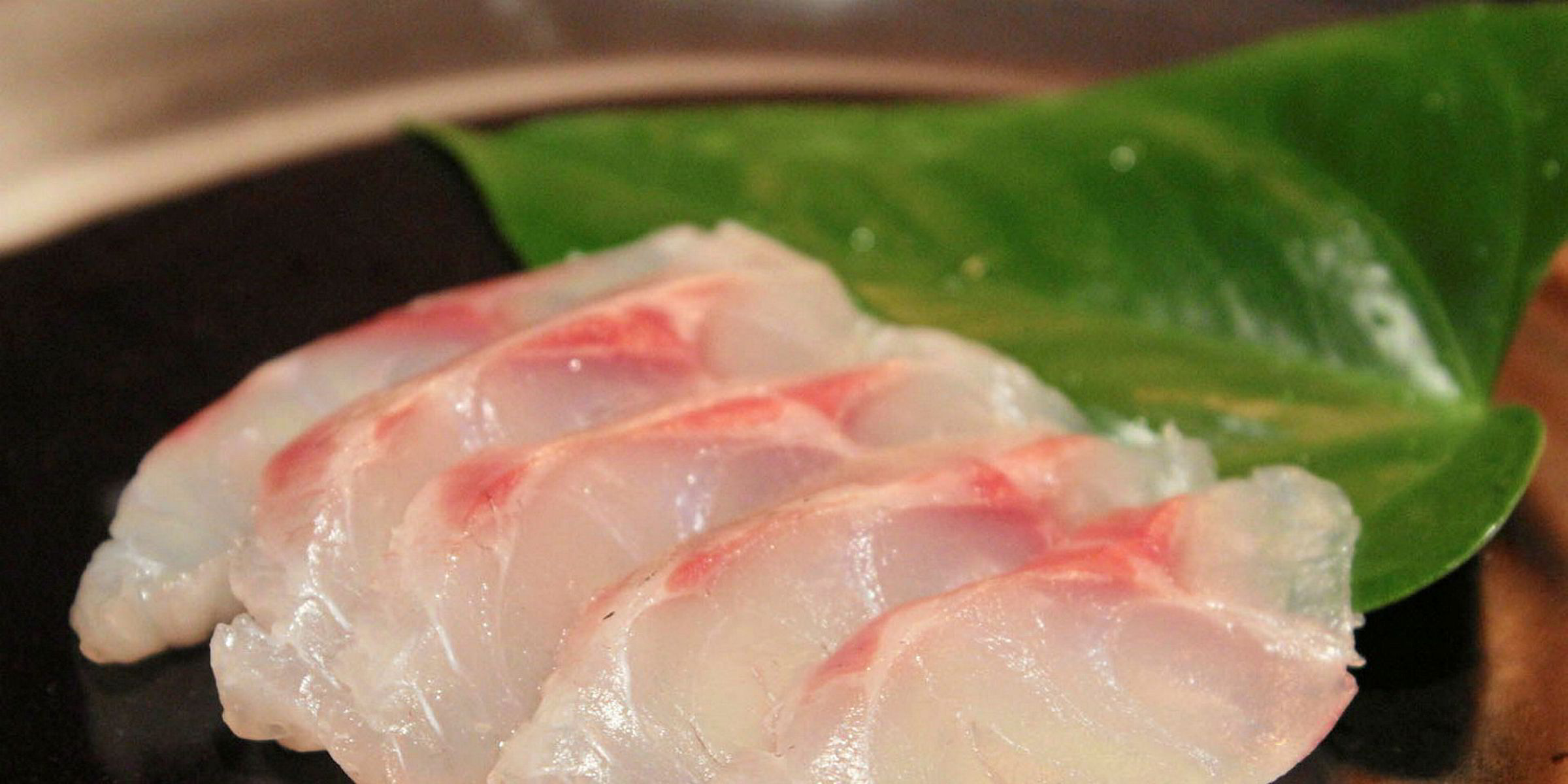 Sunshine bass? Danish firm introduces new land-based fish to European ...