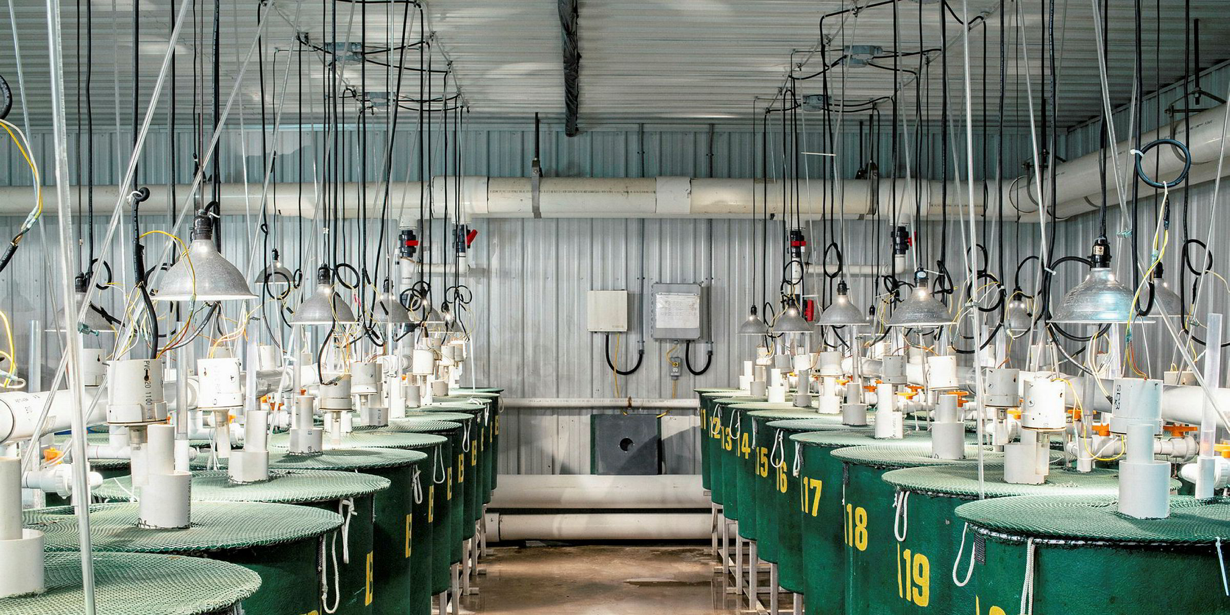 AquaBounty wins biotech award | IntraFish.com