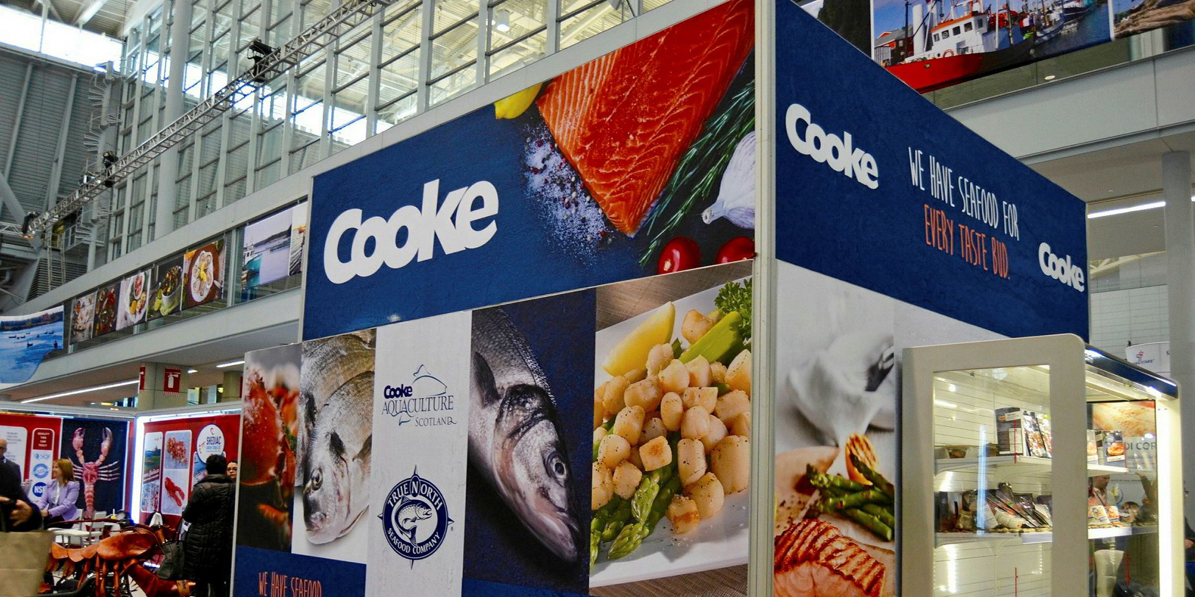Cooke in 'final stages' of Latin American shrimp group acquisition ...