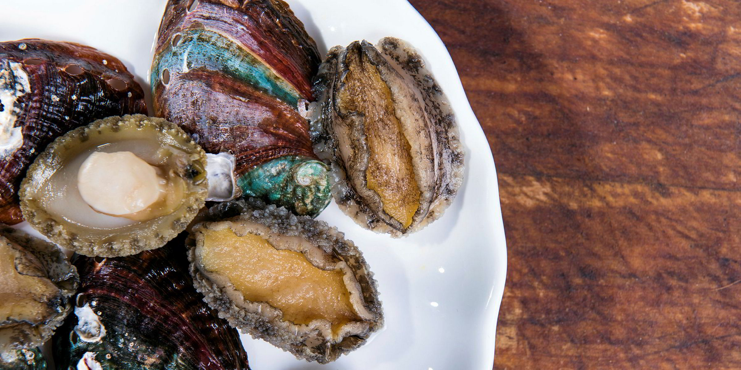 Namibia's Hangana launches abalone operation | Intrafish