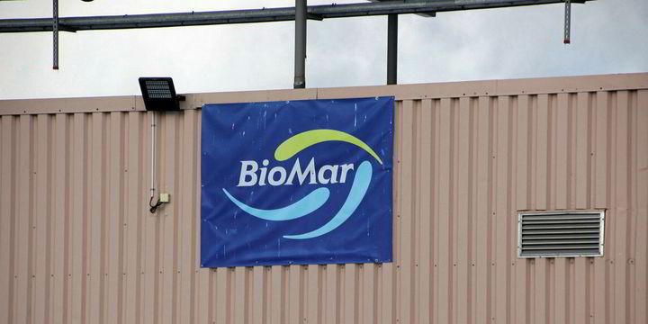 BioMar moves forward with $42 million feed plant plans in Tasmania ...