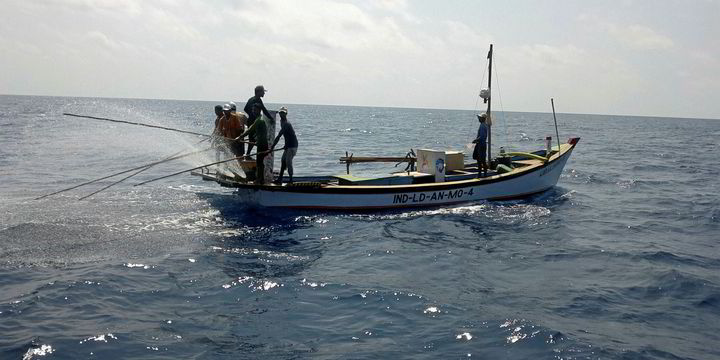 WWF-India and IPNLF to cooperate on Kerala tuna fishery | IntraFish.com