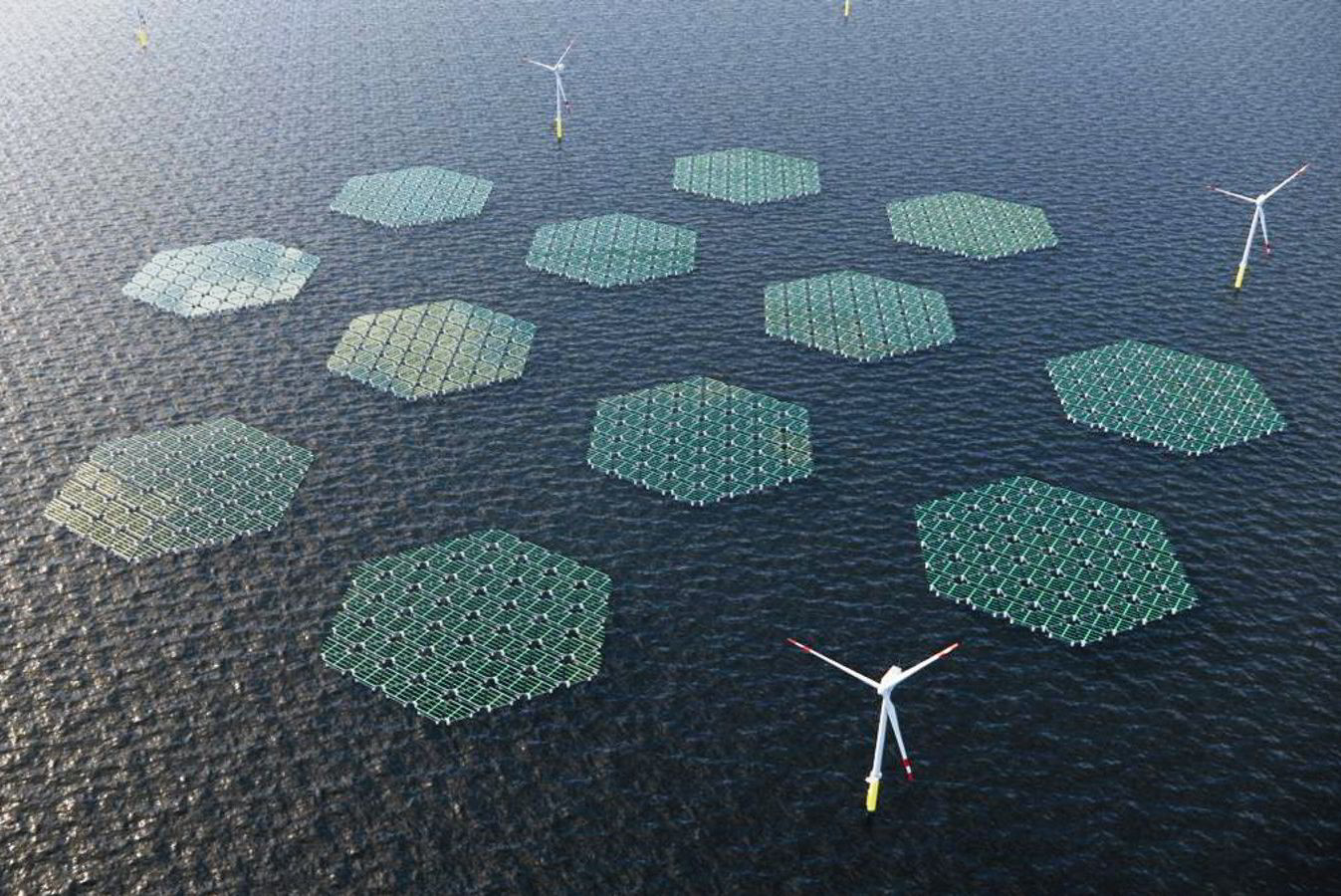 Norsk-hollandsk selskap skal bygge verdens største flytende ...