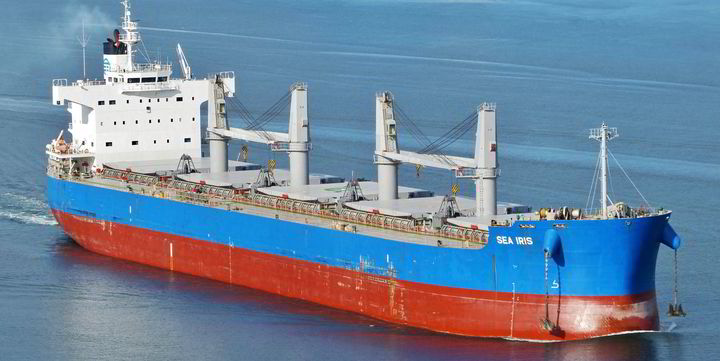 Rebounding bulkers buck trend as S&P deals drop 11% in 2020 | TradeWinds