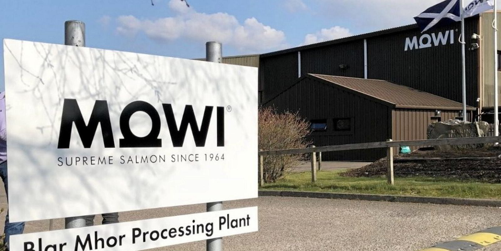 Mowi given green light for 'phenomenal' $20 million salmon processing ...