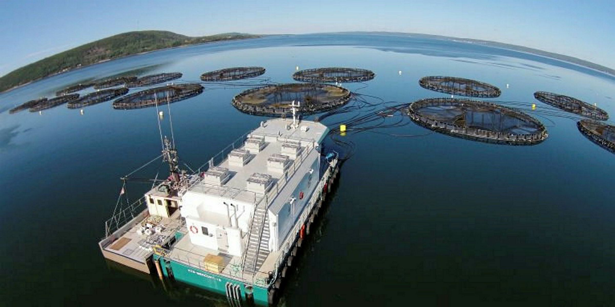 Washington state puts moratorium on new fish farms after Cooke salmon ...