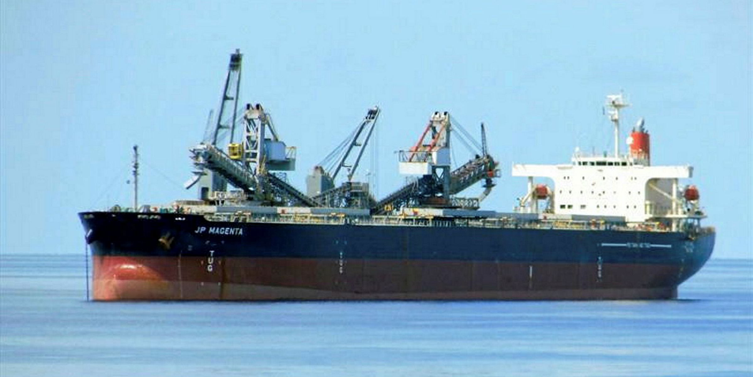 Deluge of Japanese dry bulk tonnage to hit sales market | TradeWinds