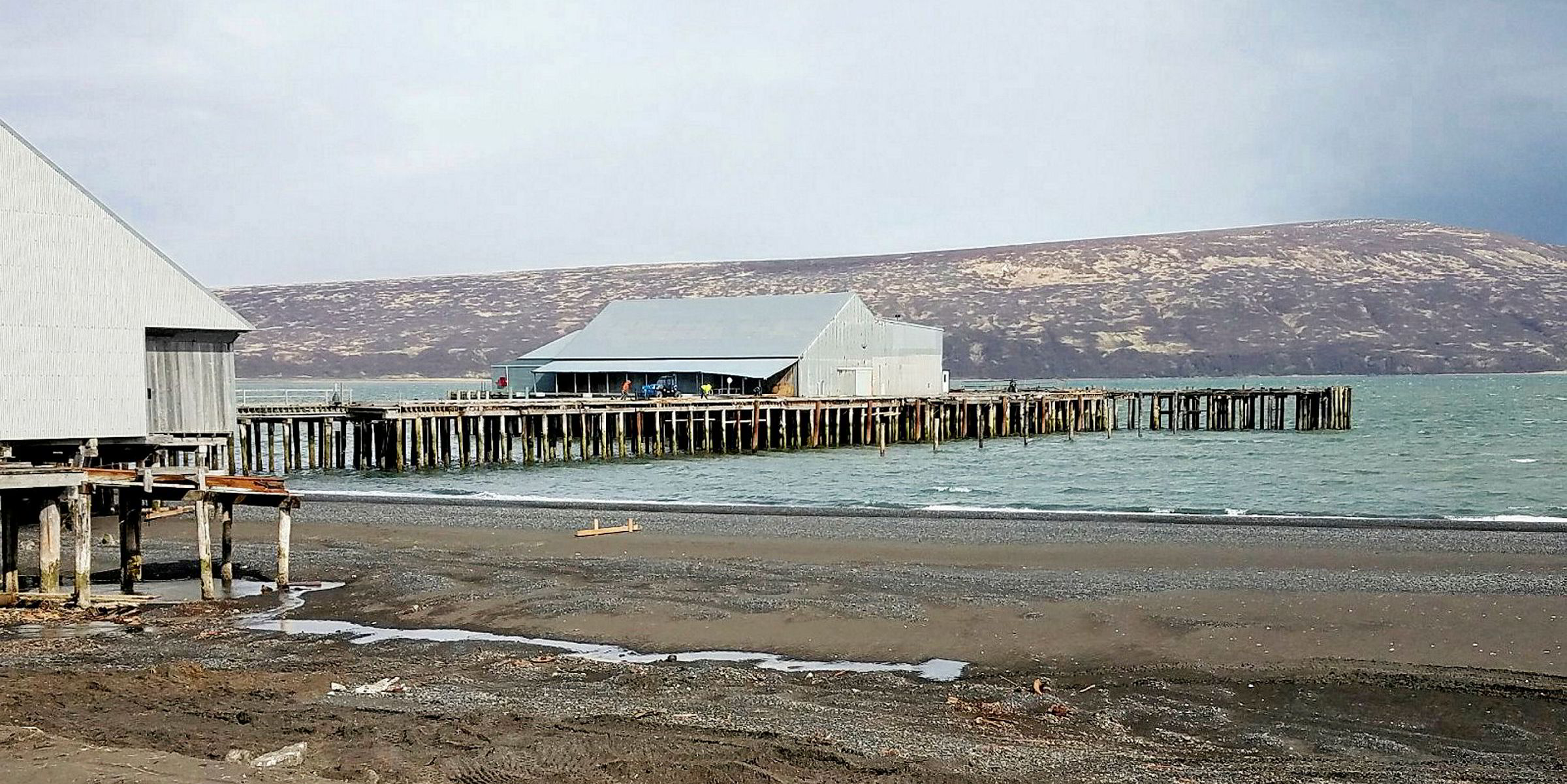Peter Pan's freshly rebuilt salmon plant significantly expands value ...