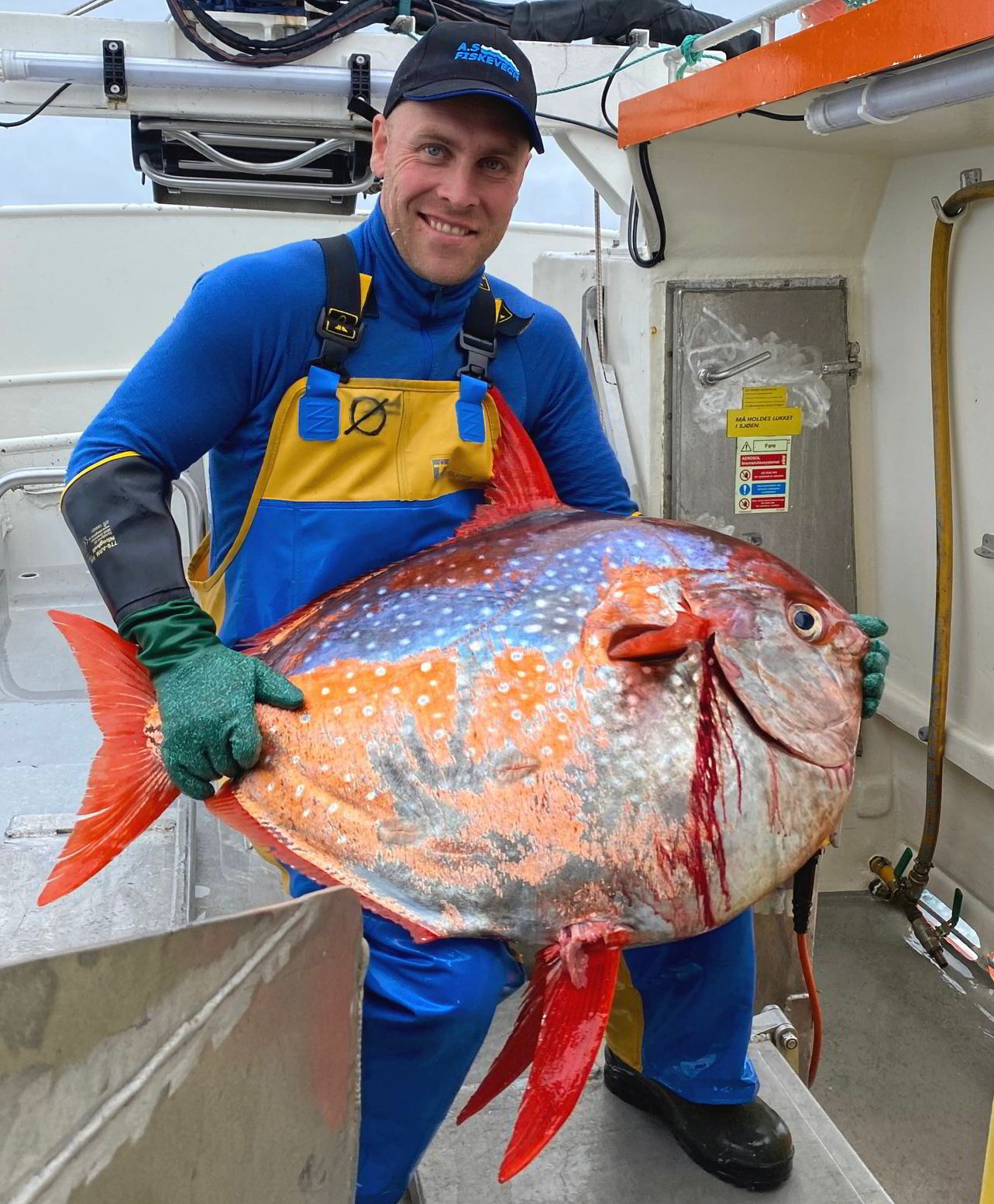 Slik gikk det med den uvanlige fisken | Fiskeribladet