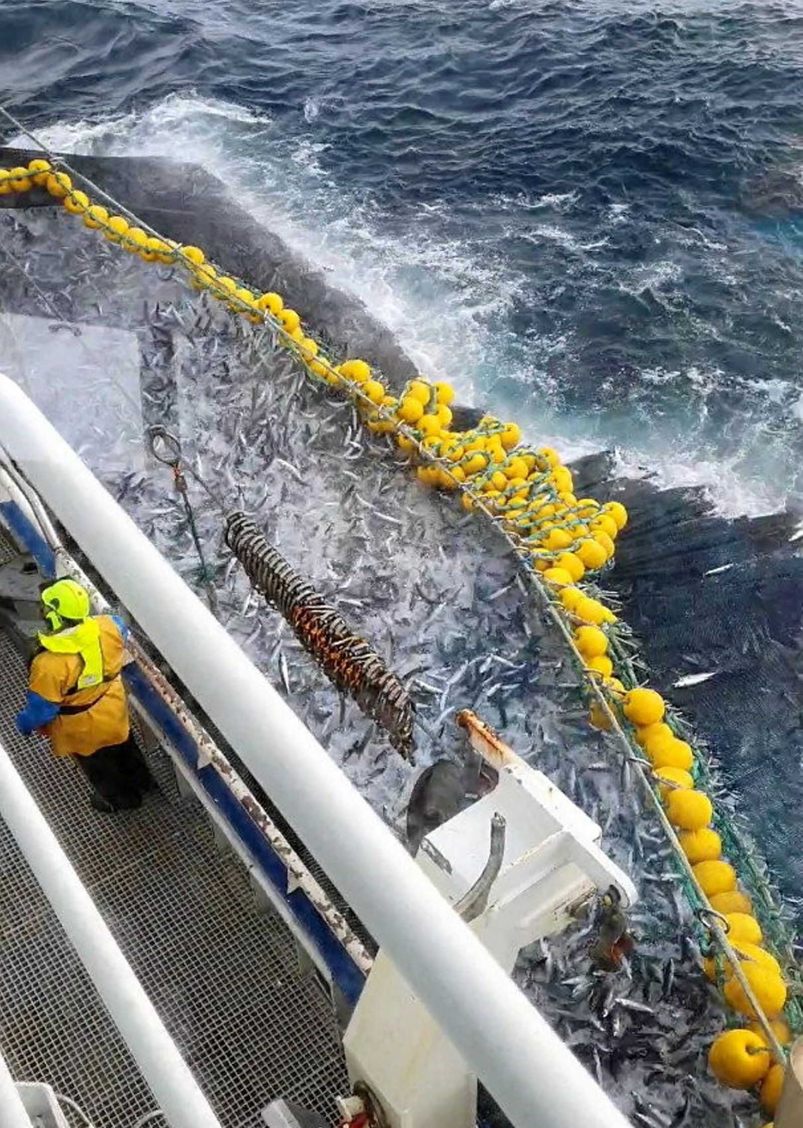 Makrell i makroens tegn | IntraFish.no