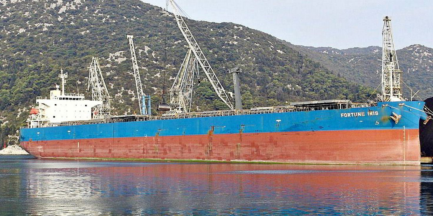 Cido cashes in on strong market to clear out midsize bulkers | TradeWinds