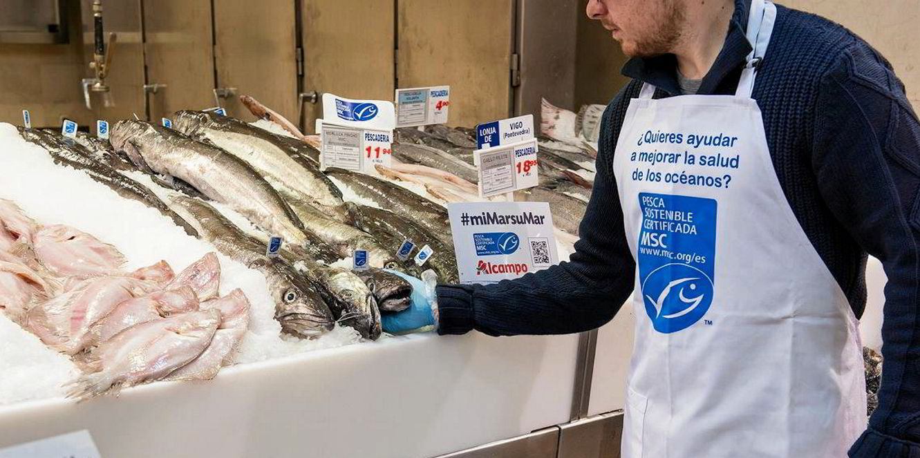European Union targeting eco-labels in greenwashing crackdown ...