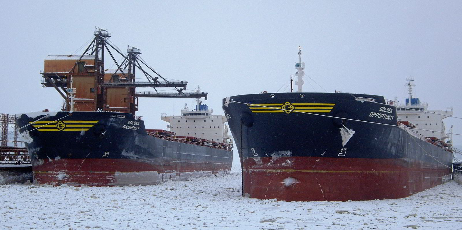 IMO approves Arctic heavy fuel oil ban ‘with loopholes’ | TradeWinds