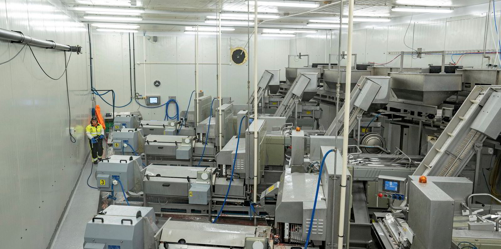 Fabrikken på Træna har en kapasitet på 800 tonn fisk per døgn - bli med inn på et av Pelagias ...