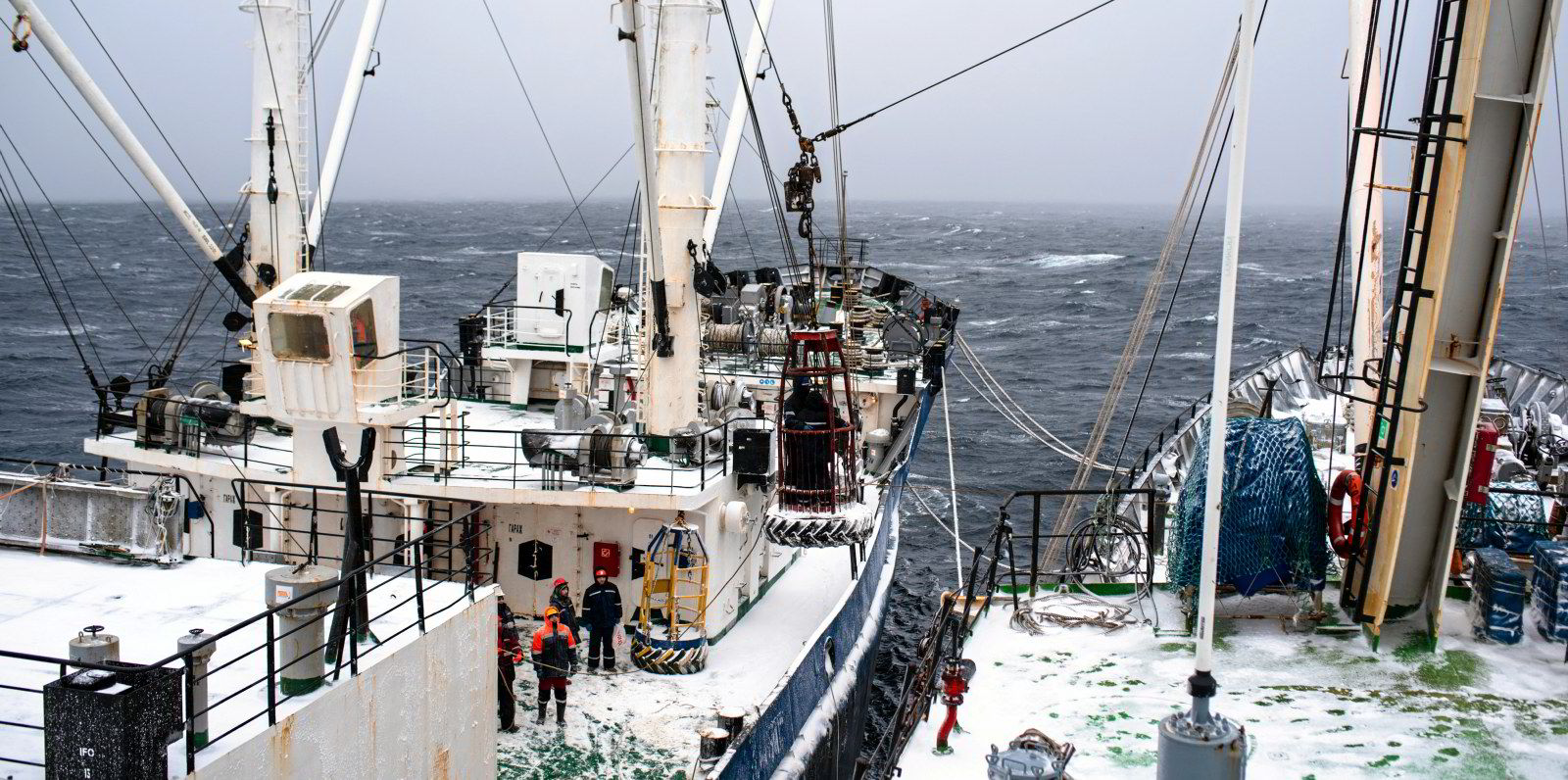 Russia pollock sector warns A season catch could be up to 20% lower ...