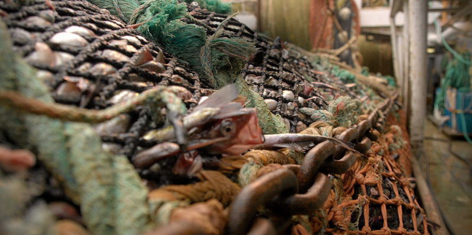 Pacific whiting receives Alaska's RFM eco-label, the first certified ...