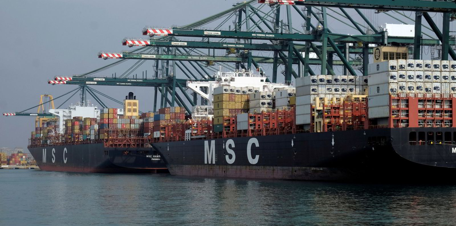 MSC leads charge as German containership exodus gathers pace | TradeWinds