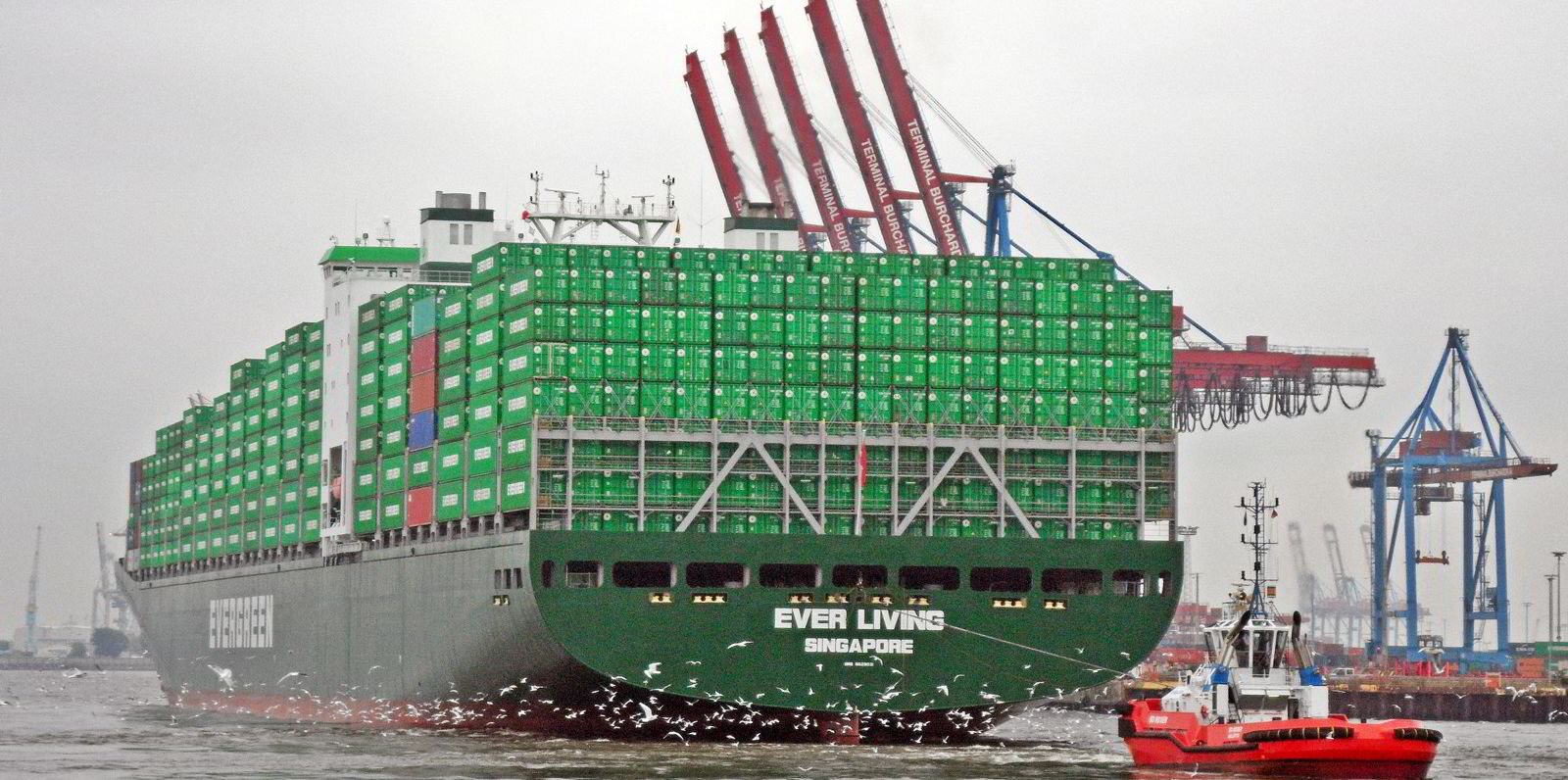 Evergreen is bottom of the class in new carbon emission rankings ...