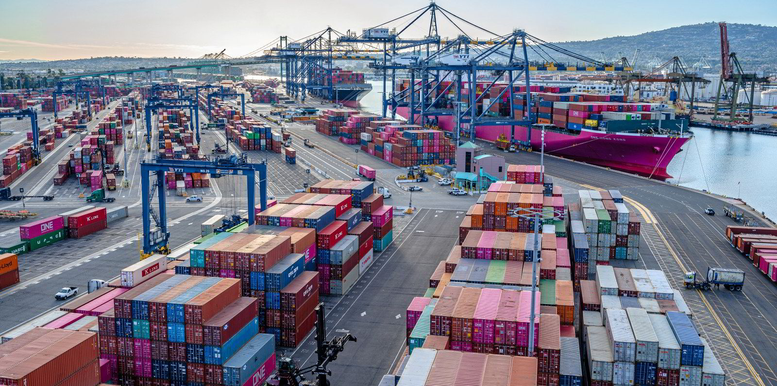 ‘No support for historically high rates’ as container ship congestion ...