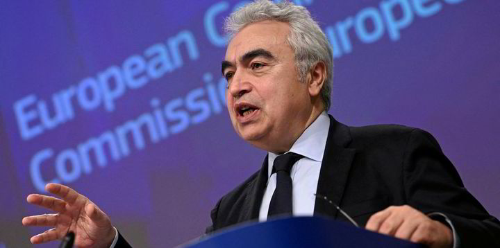 'Russian gas shows danger if world has too few sources for key green ...