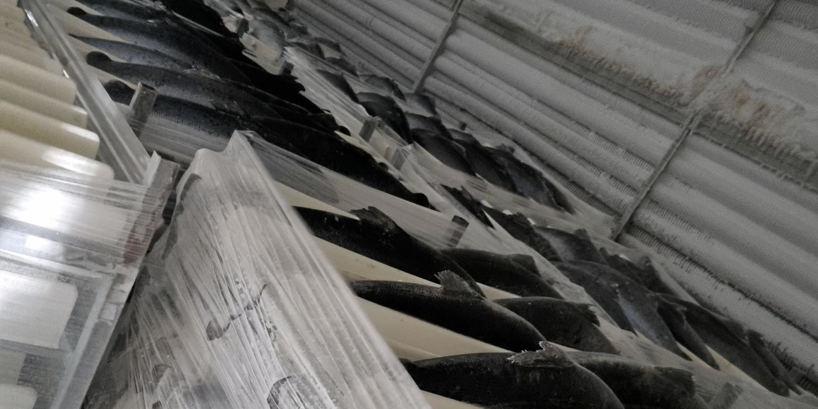 Atlantic Seafood er slått konkurs | IntraFish.no