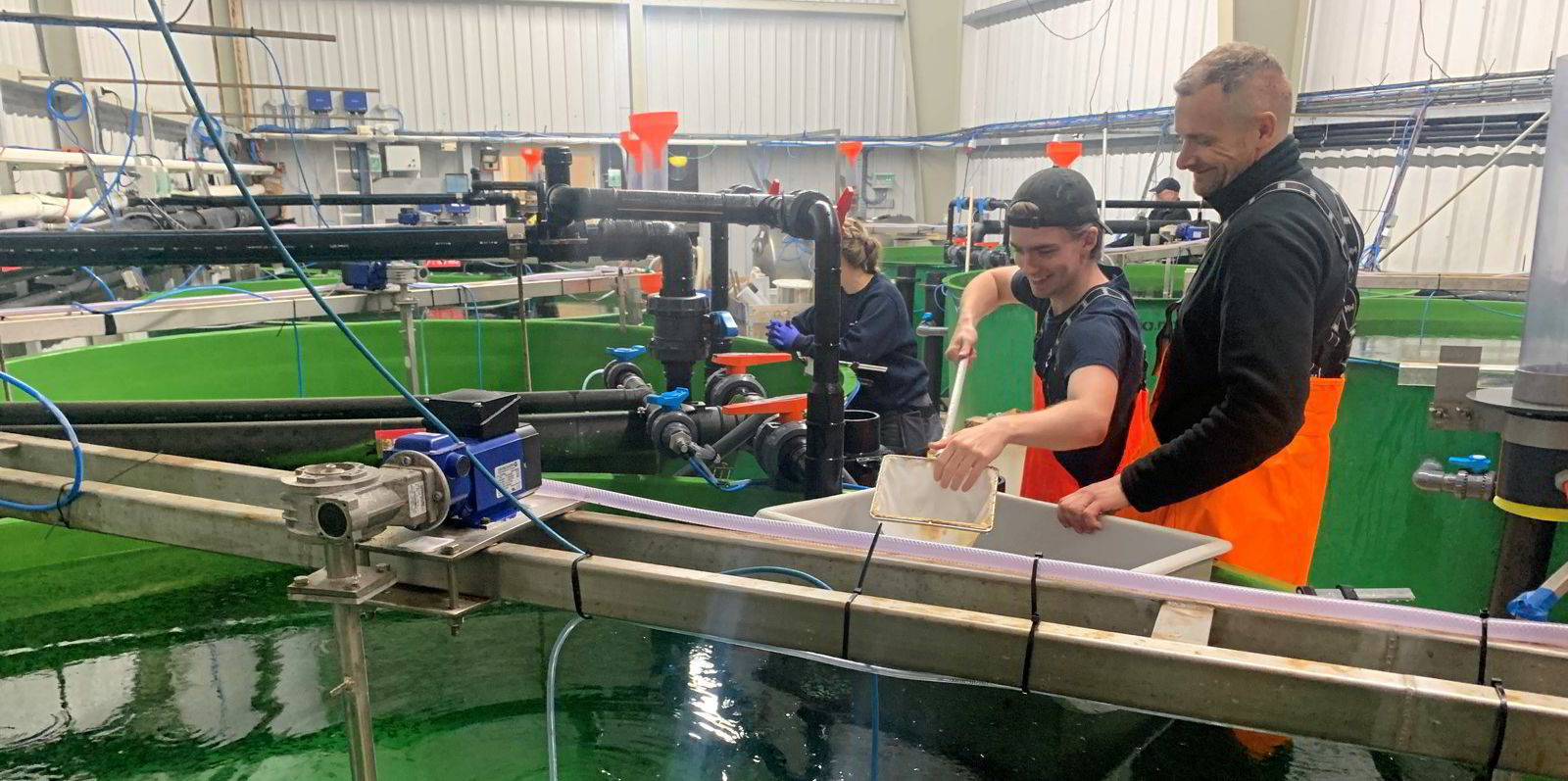 These executives think the world is ready for land-based farmed cod ...