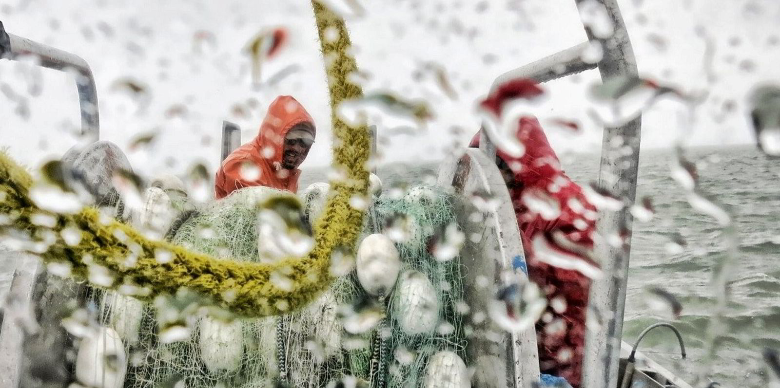 LETTER: Poor quality fish also a big factor in Alaska salmon processors ...