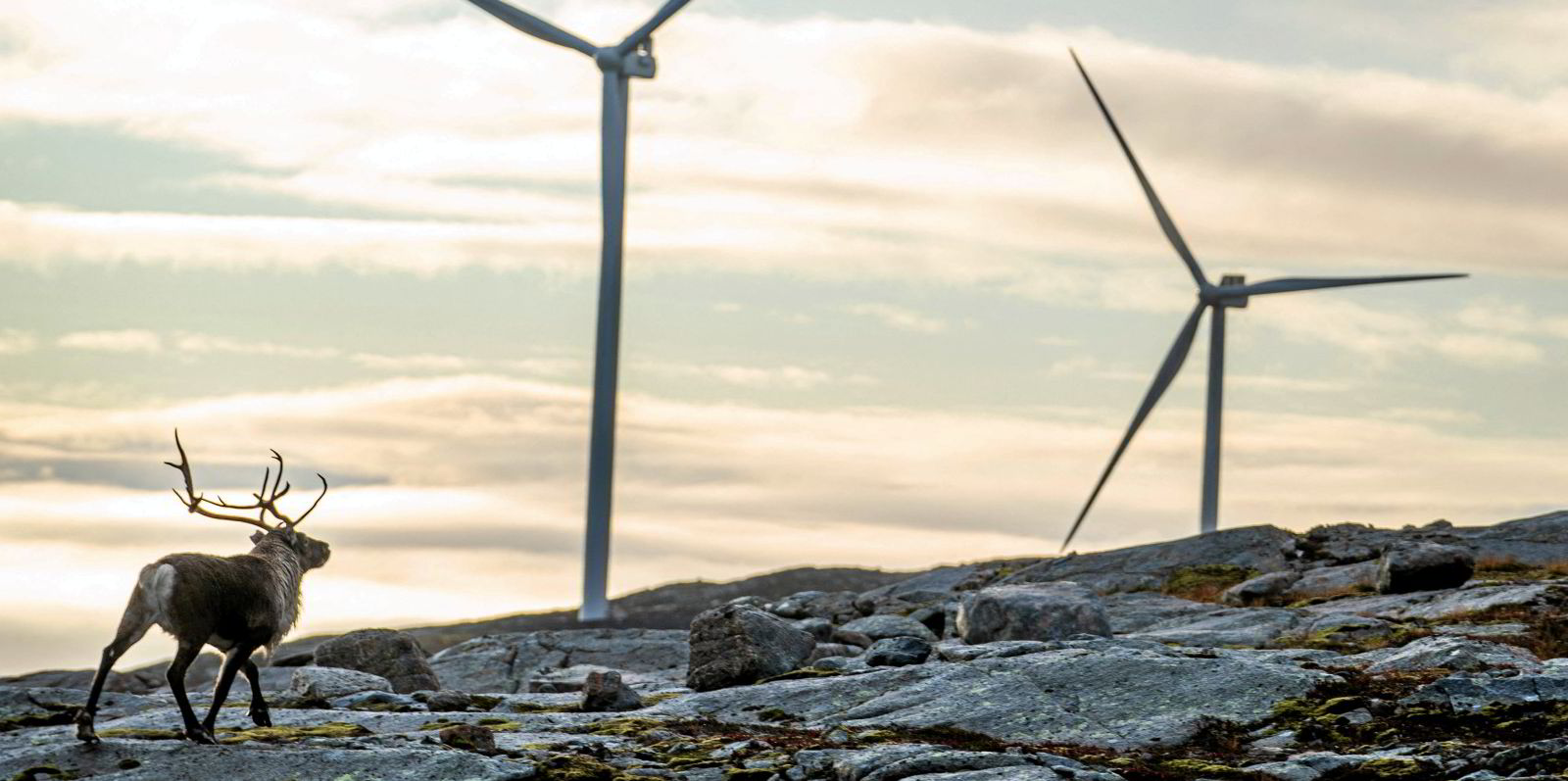 Greta Thunberg detained by Norwegian police during anti-wind farm ...