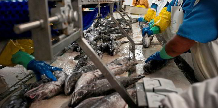 'The scale is so dramatically different': Simply not the volumes for ...