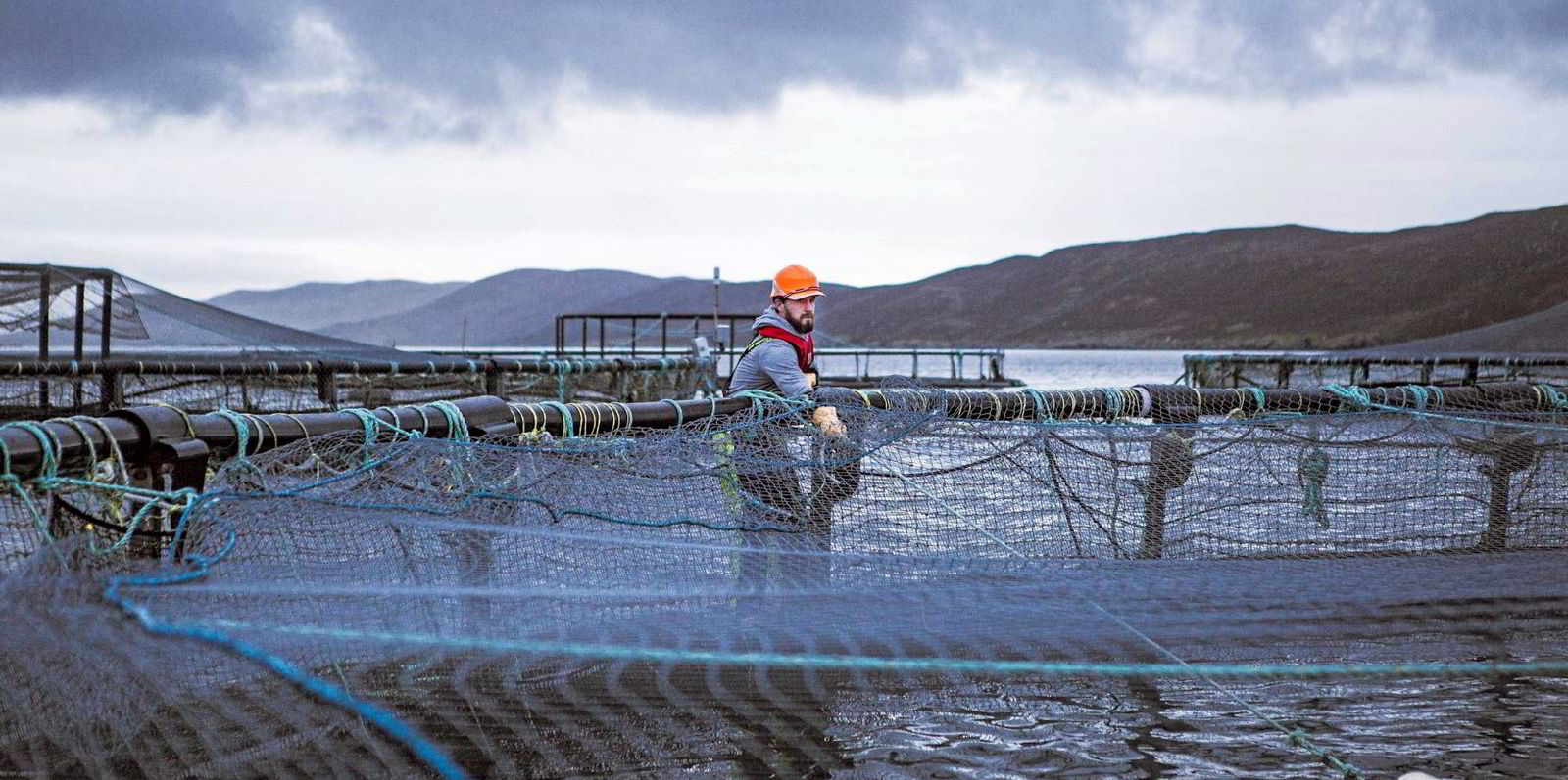 Analysts see two obvious buyers for Grieg's Scottish salmon farms ...