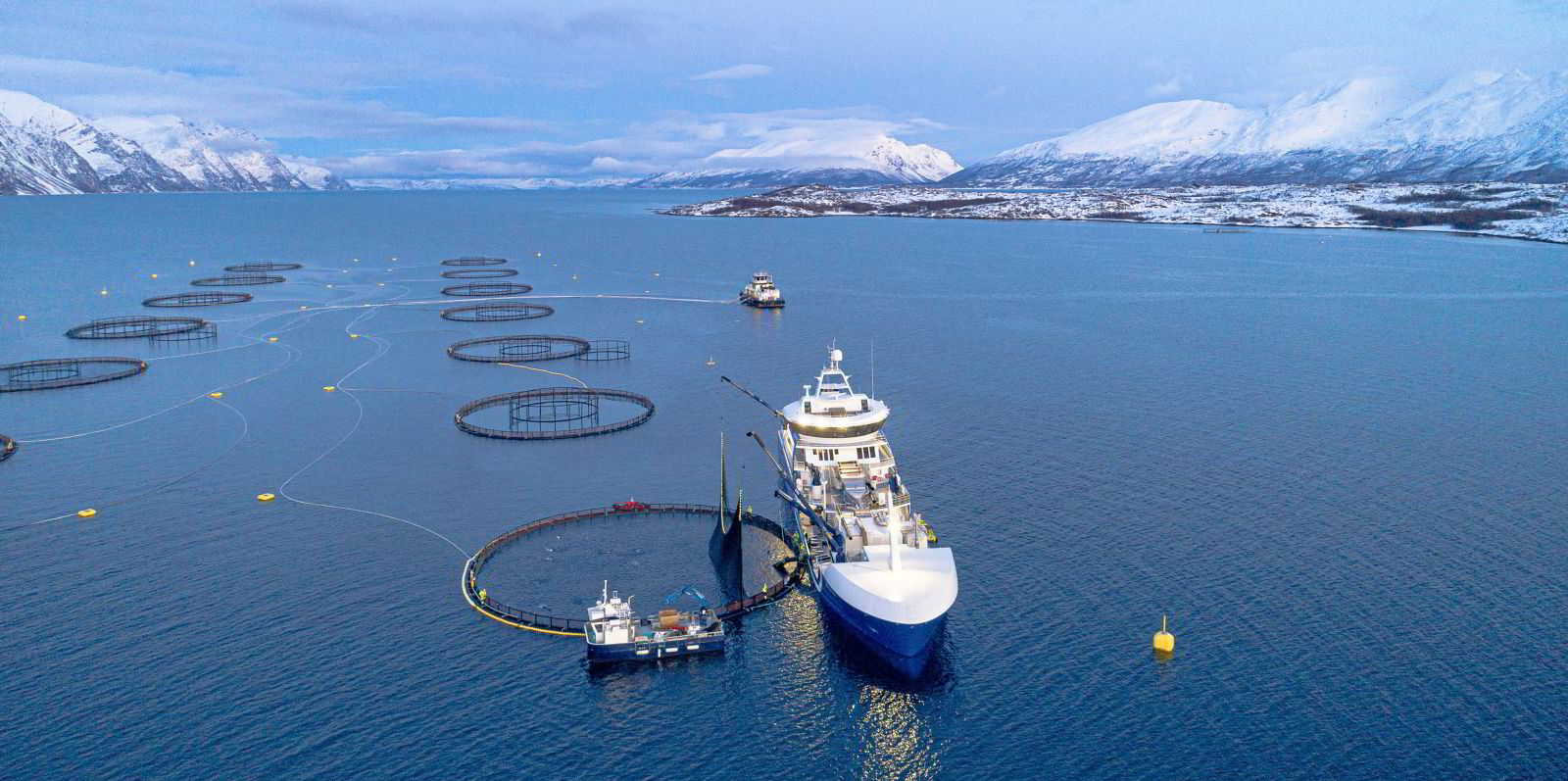Nytt investeringsfond rigger seg spesielt for Nord-Norge | IntraFish.no