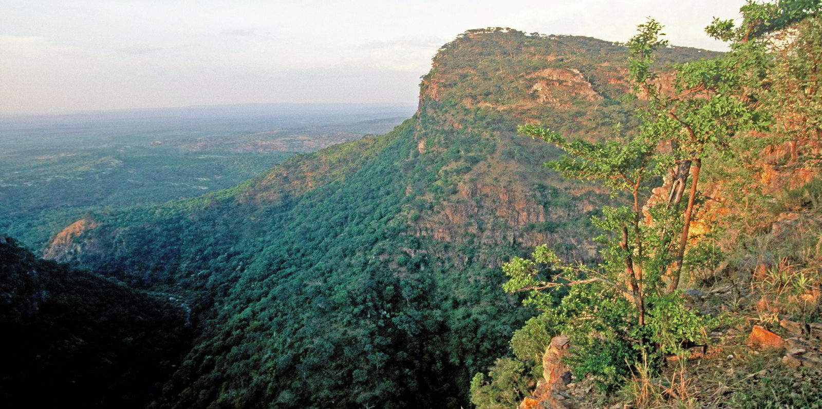 Zimbabwe: Five newly identified prospects may hold 1.2 billion barrels ...