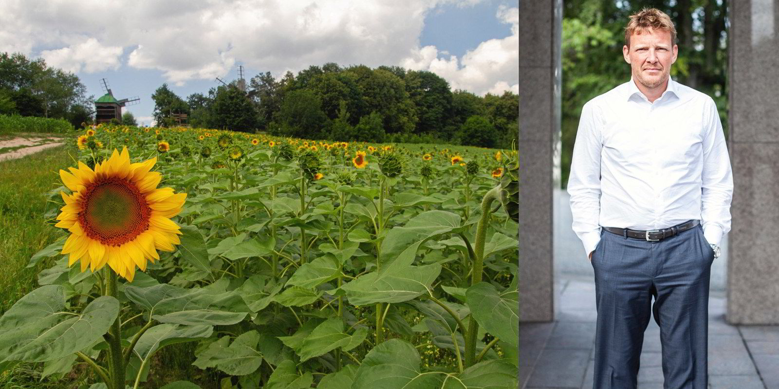 Morch: Ukraine war’s blow to sunflower oil trade is helping chemical ...