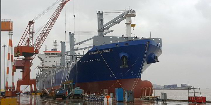 Seatrade eyes alliances and more vessel buys after confirming container ...