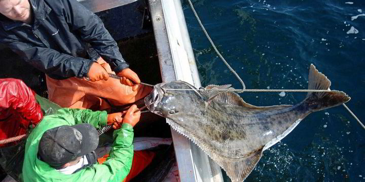 Alaska bycatch rule change forces fleet reduction, potential $100 ...