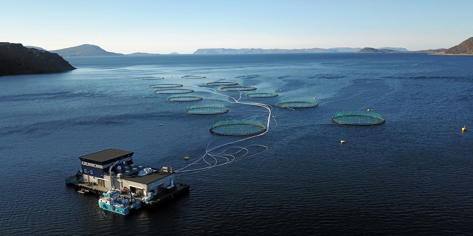 Hybridombyggingen gikk rekordraskt. Bengt-Olav Berntsen vet hvorfor ...