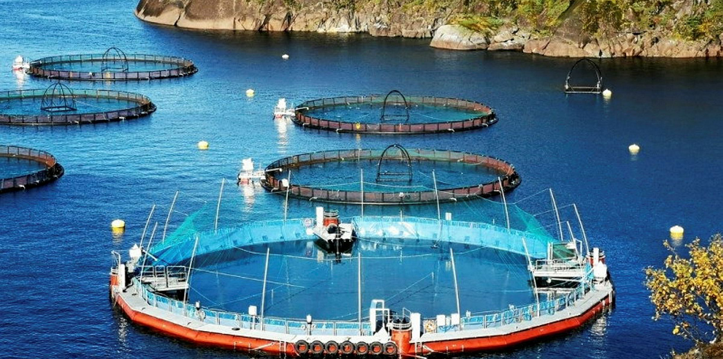 Cermaq to trial its first semi-closed containment salmon farm in Canada ...