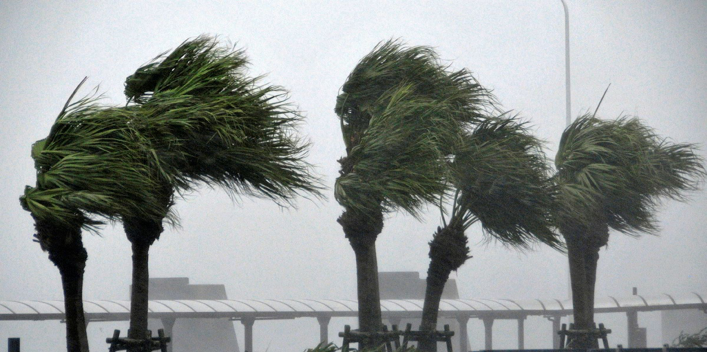 Vestas beefs up 4MW wind platform for extreme climates | Recharge