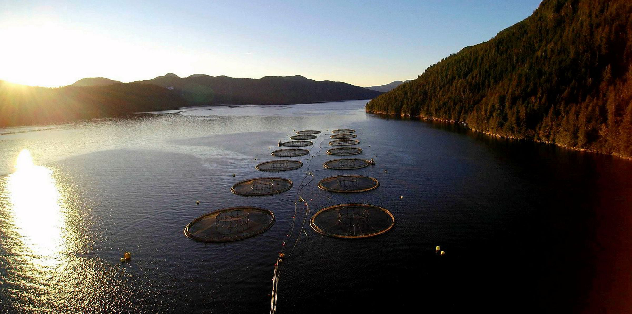 All Mowi's British Columbia salmon farms now certified to Aquaculture ...