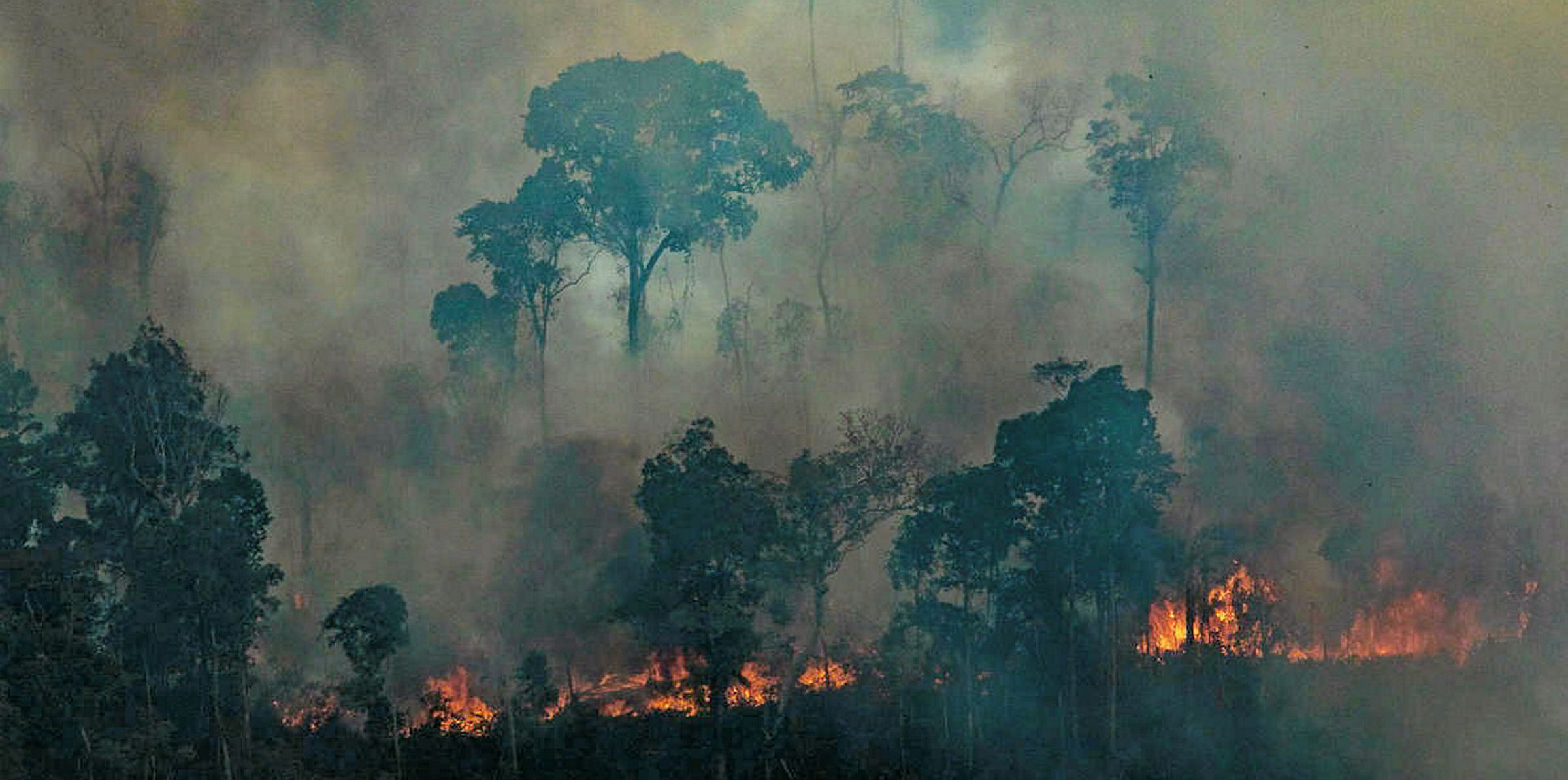 Brazilian renewables groups join calls for Amazon fire action | Recharge