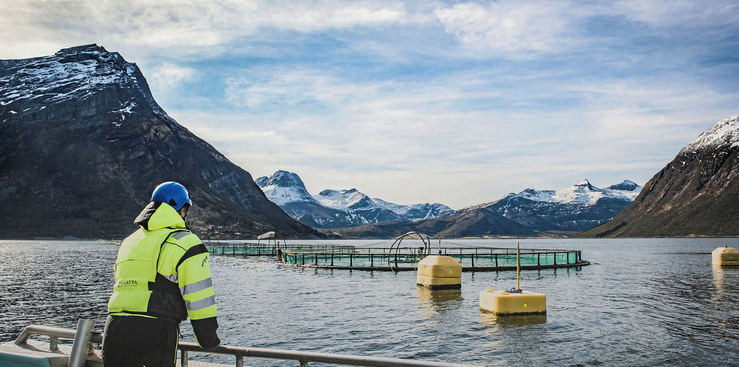 After years-long effort, GAA certifies first Norwegian salmon farmer to ...