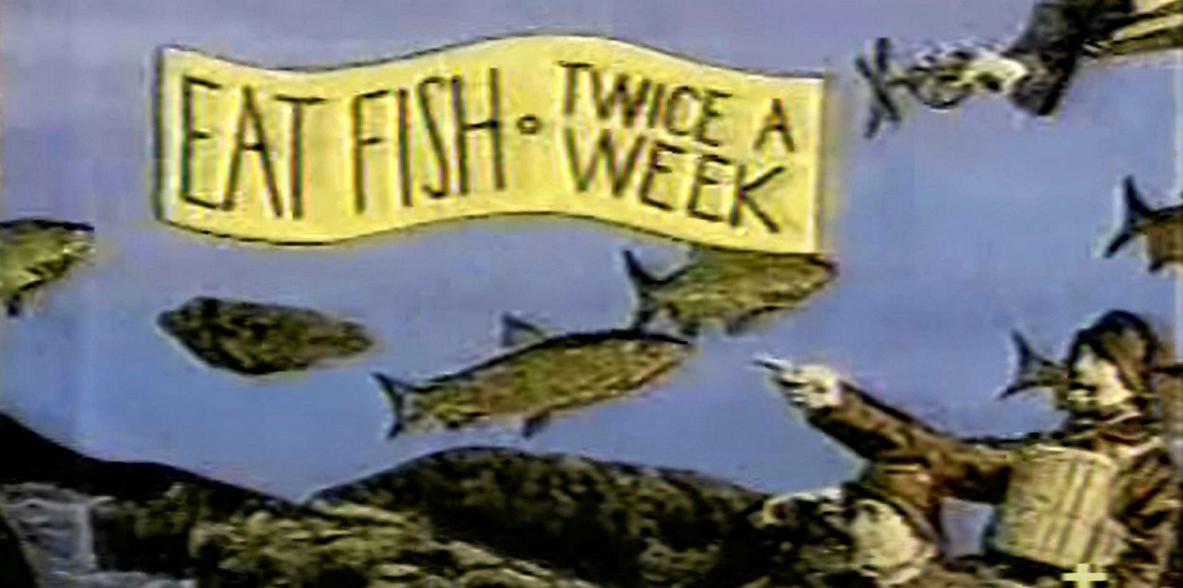 Is it time to revive generic seafood marketing in the US? Here's what ...