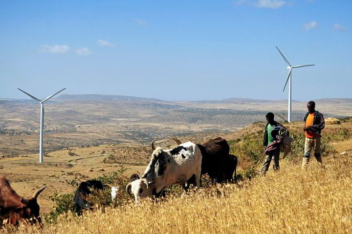 Africa could provide 10% of the world's green hydrogen by 2050: report ...