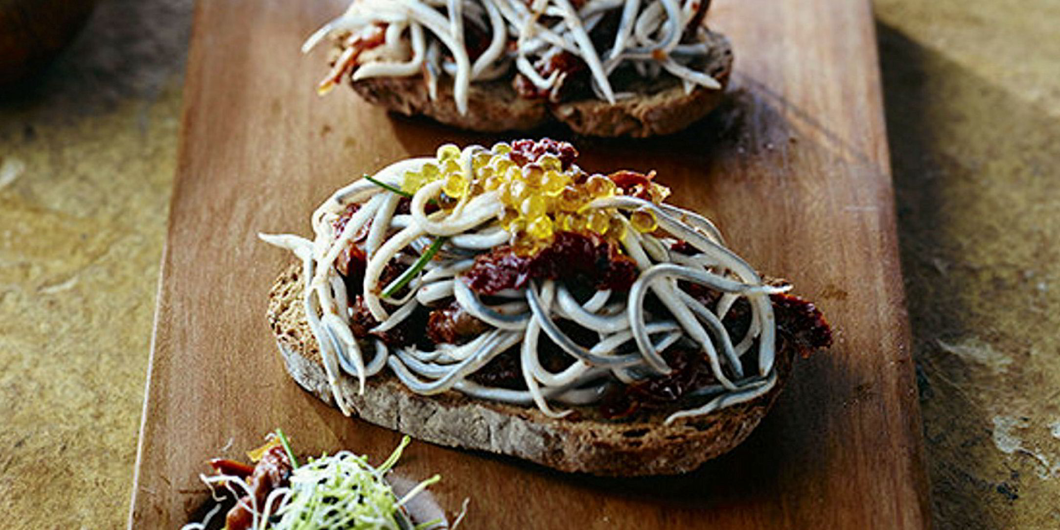 Angulas Aguinaga launches foodservice brand | IntraFish.com